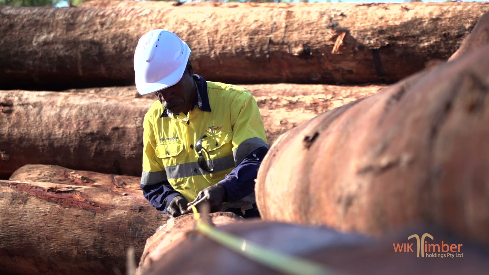 The Wik Timber Story